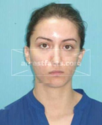 Ashley Christine Stites of Florida, arrests, mugshots, and charges ...