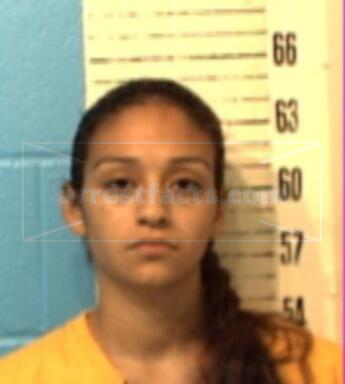 Michelle Sue Rodriguez of New Braunfels, TX, arrests, mugshots, and ...