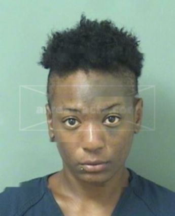 Jalisa A Martin of Florida, arrests, mugshots, and charges Updated 2025 ...