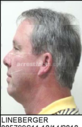 David Lewis Lineberger of North Carolina, arrests, mugshots, and ...