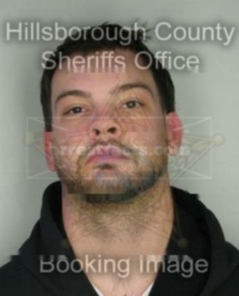 Jordan Armstrong Torch of Florida, arrests, mugshots, and charges ...