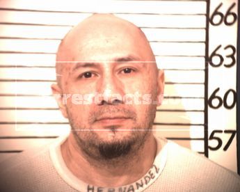 Michael Christopher Hernandez of New Braunfels, TX, arrests, mugshots ...