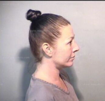 Jennifer Lynn Cook of Florida, arrests, mugshots, and charges Updated ...