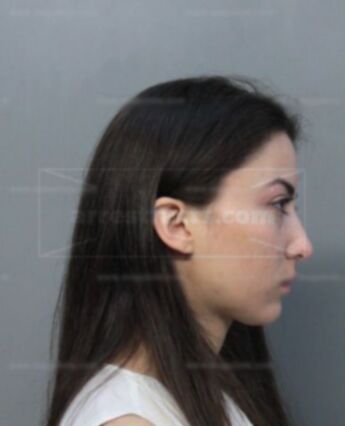 Ashley Christine Stites of Florida, arrests, mugshots, and charges ...