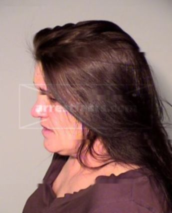 Melanie May Udell of Minnesota, arrests, mugshots, and charges Updated ...